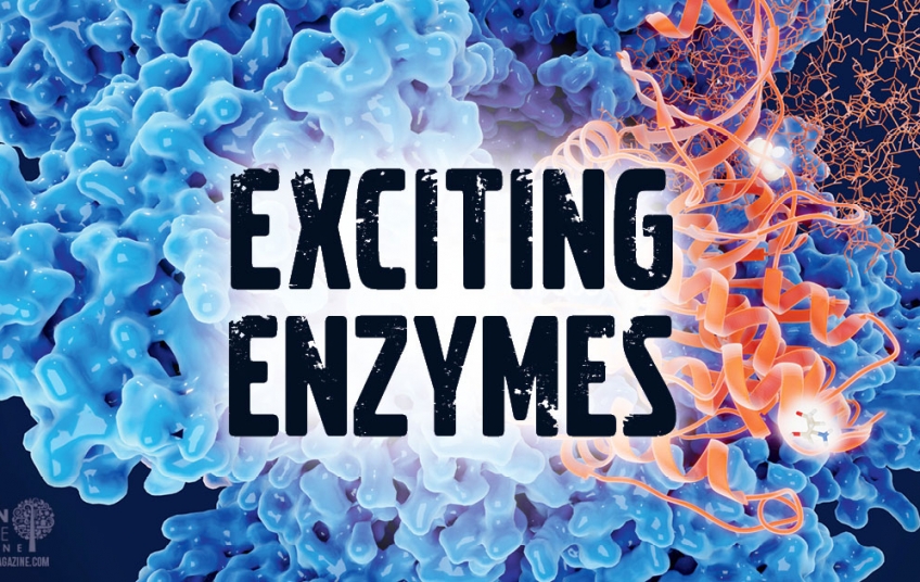 ΤΑ ΕΝΖΥΜΑ Και Η Σημασία Της Ωμοφαγίας | Υγεία και Ευεξία